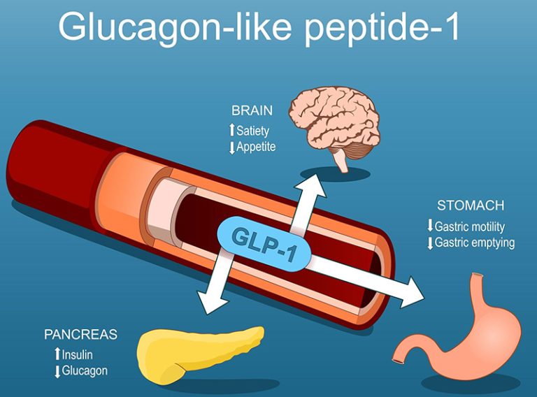 GLP-1 Agonists: Past, Present And Future Of Metabolic Health, Weight ...